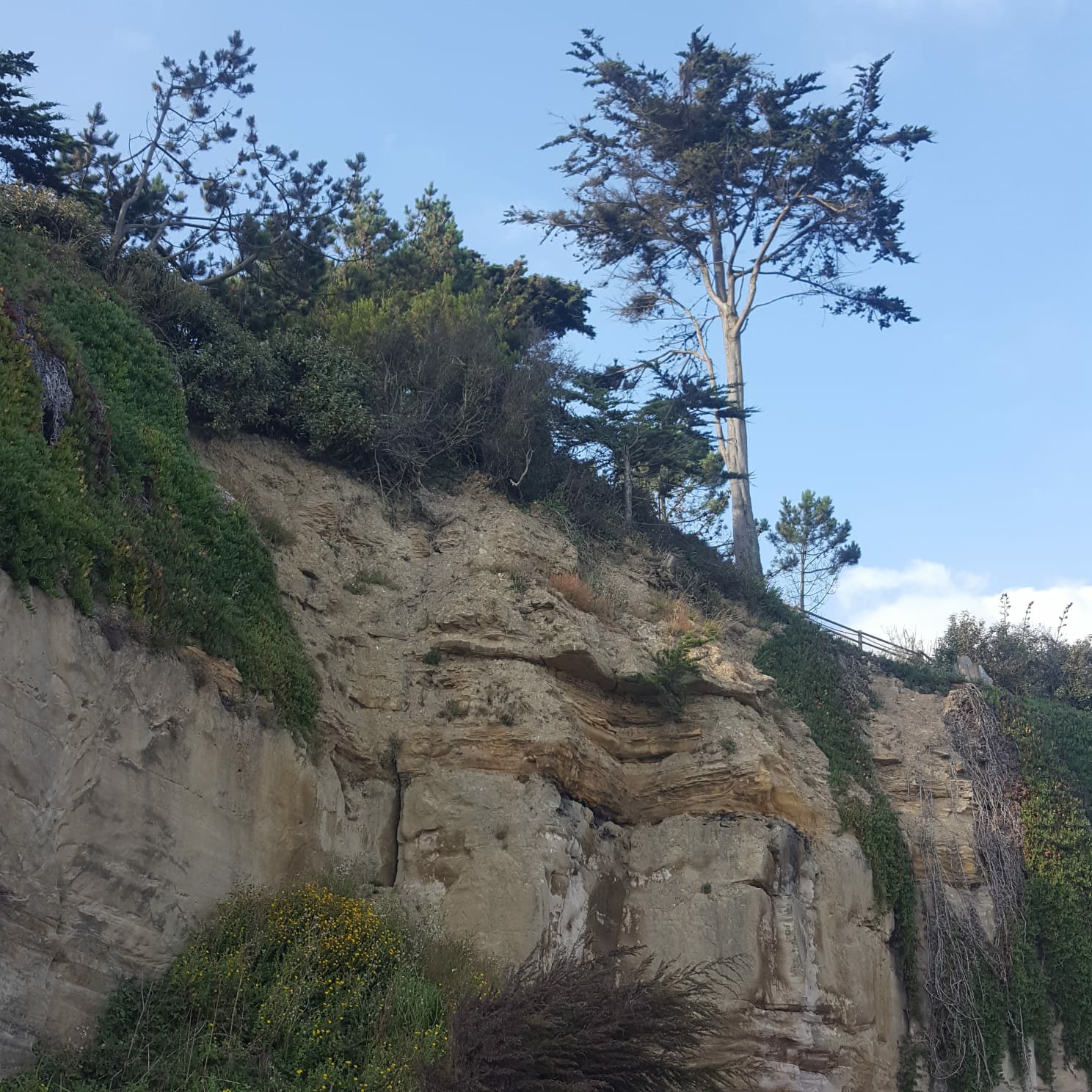 Pett Level – AlBarclay